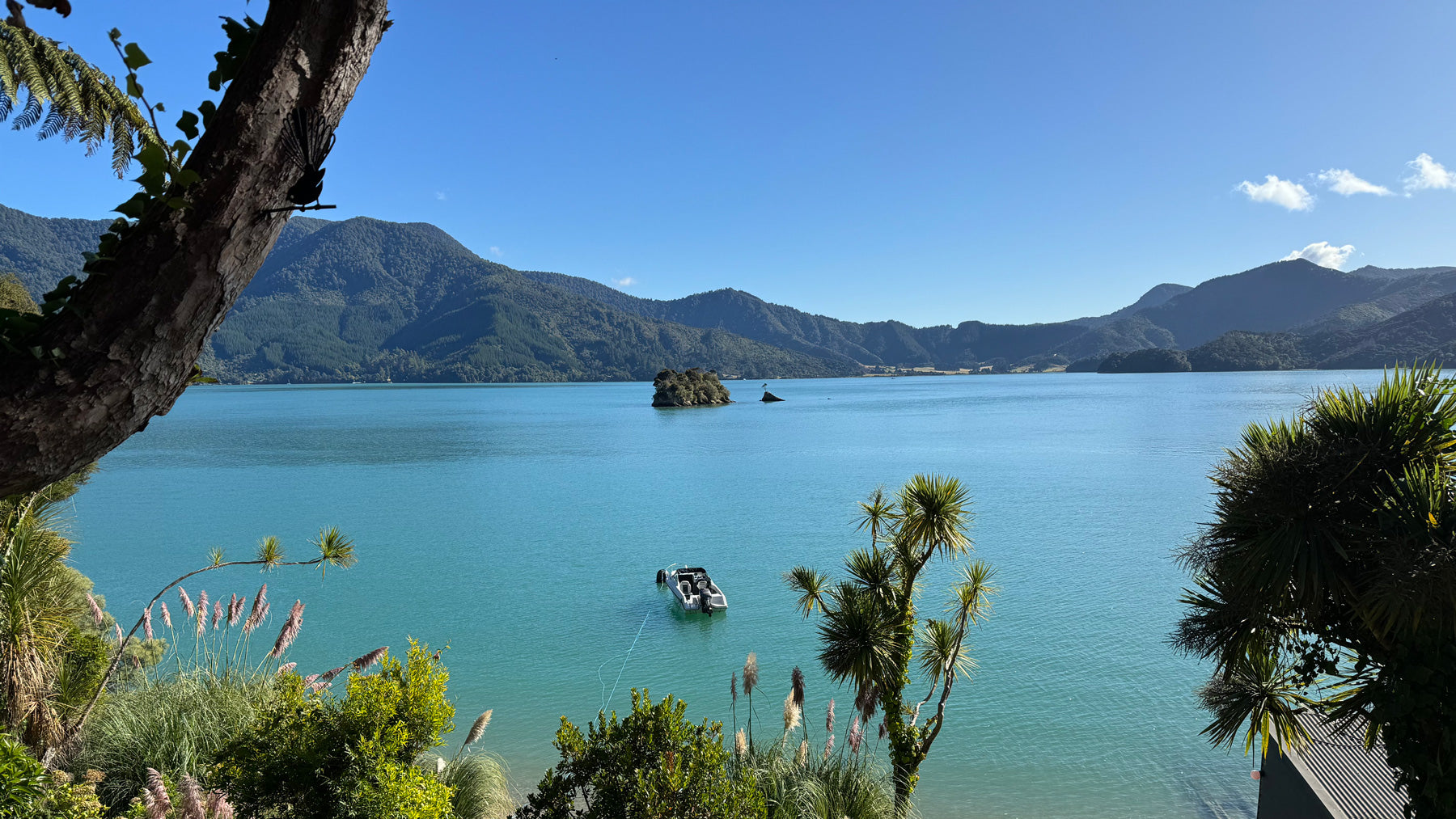 HOOC - Eco Fish Bait